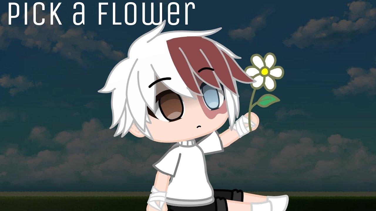 Pick A Flower Meme || BNHA / MHA Shoto Todoroki || Gacha Club Meme ...