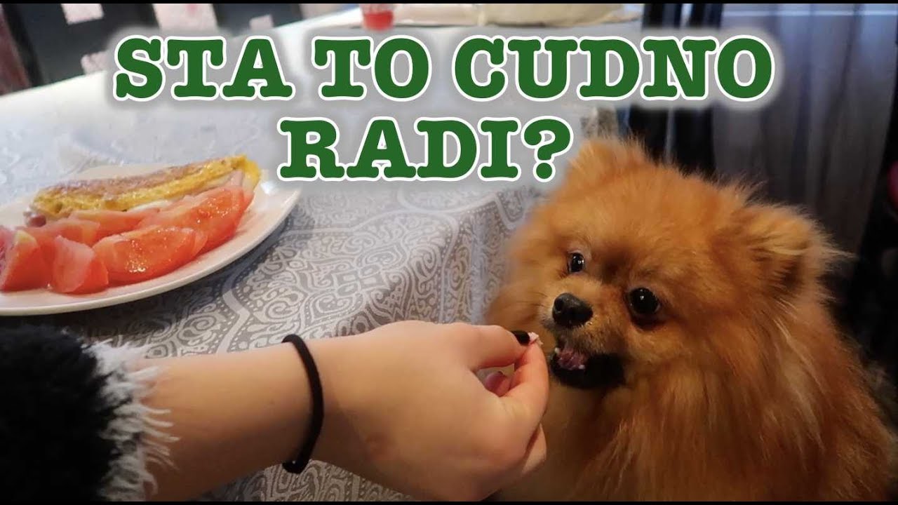 Cudne stvari koje Bady radi - YouTube