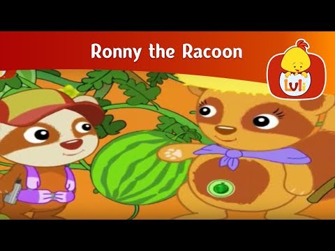 Ronny the Racoon | Cartoon for Children - Luli TV