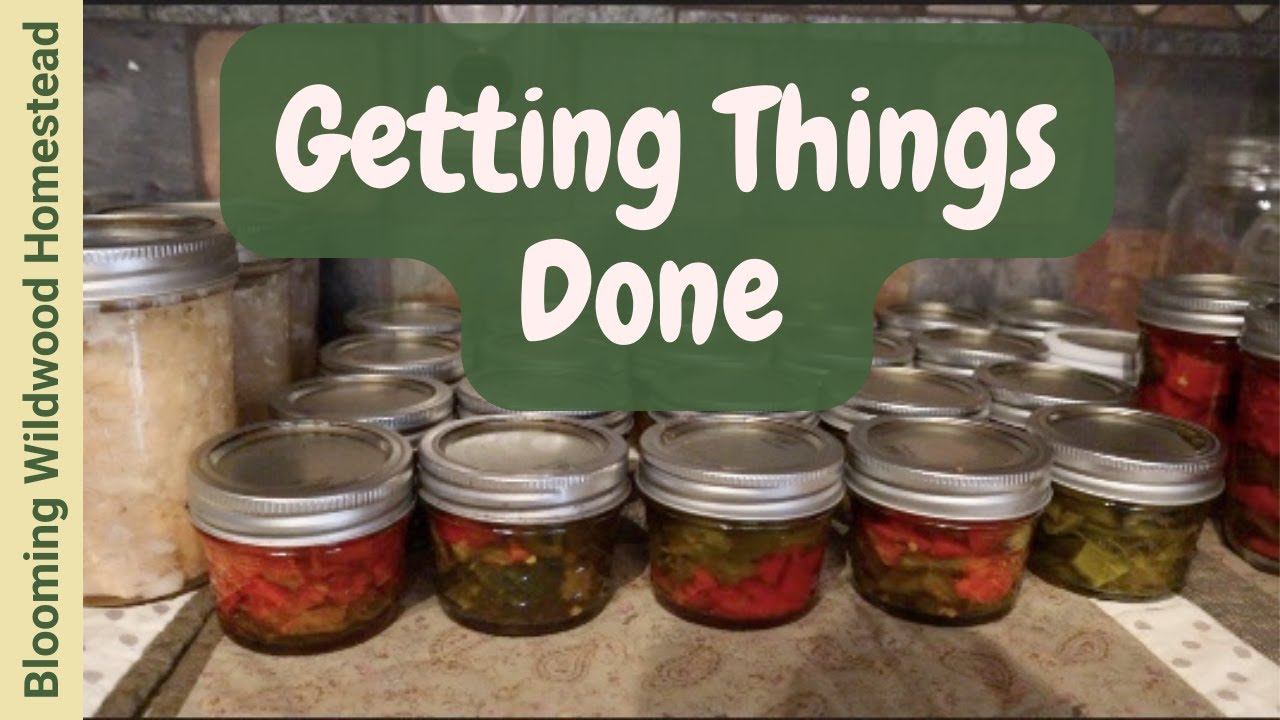 Sometimes You HAVE to Pivot...Canning Chicken and Canning Peppers - YouTube