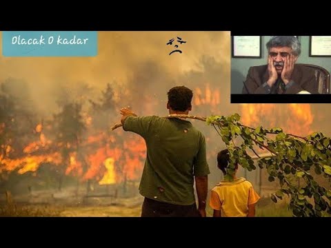 Yangın var Ormanlar yanıyor - Olacak O Kadar