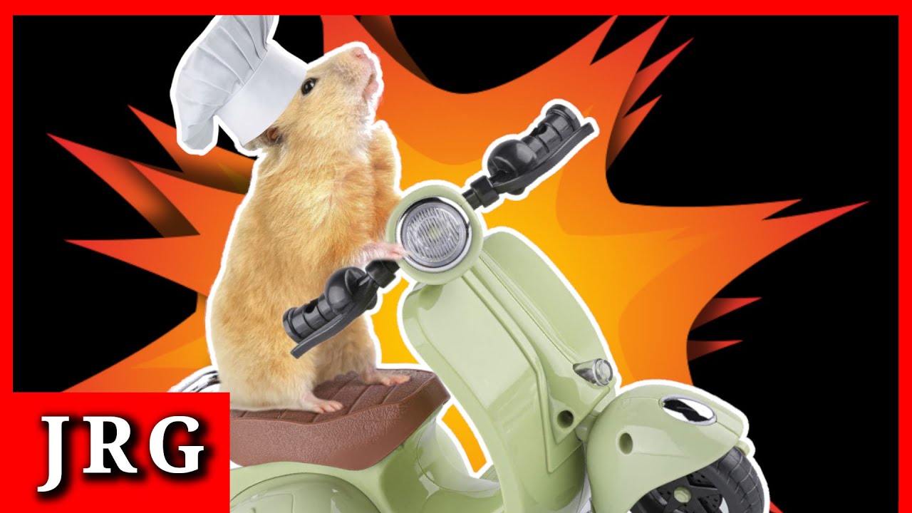 TOTALLY INNOCENT AND CUTE INDIE GAME - GO! GO! Hamster Chef! - YouTube