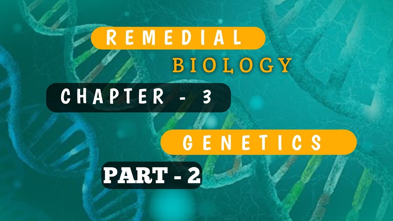 REMEDIAL BIOLOGY CHAPTER 3 PART 2 #Afaan oromootiin - YouTube