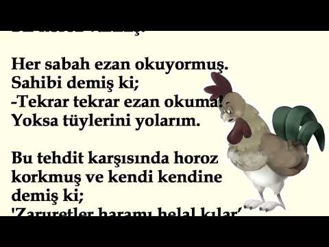 Bir horoz varmış