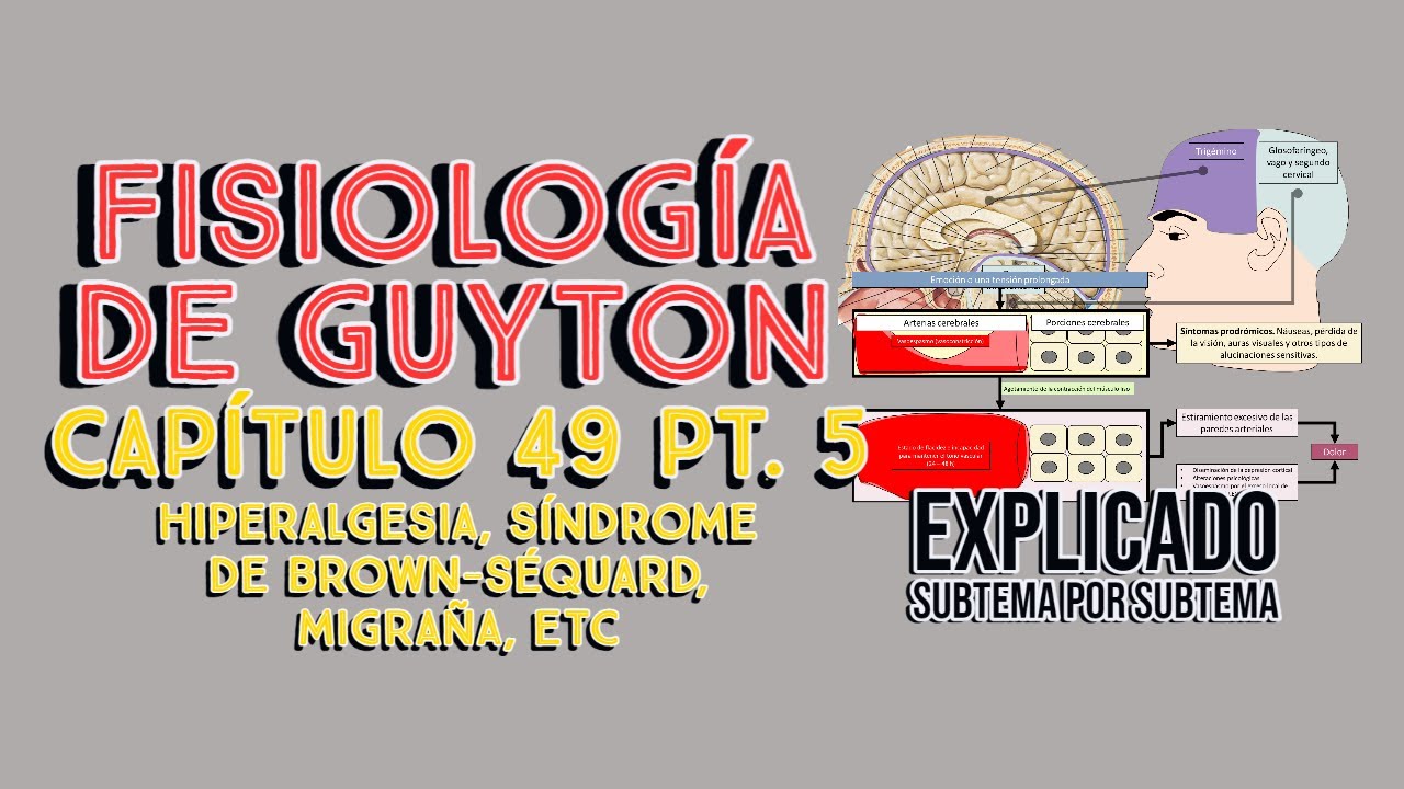 CAP 49 5/6: Alteraciones clínicas del dolor l Fisiología de Guyton ...