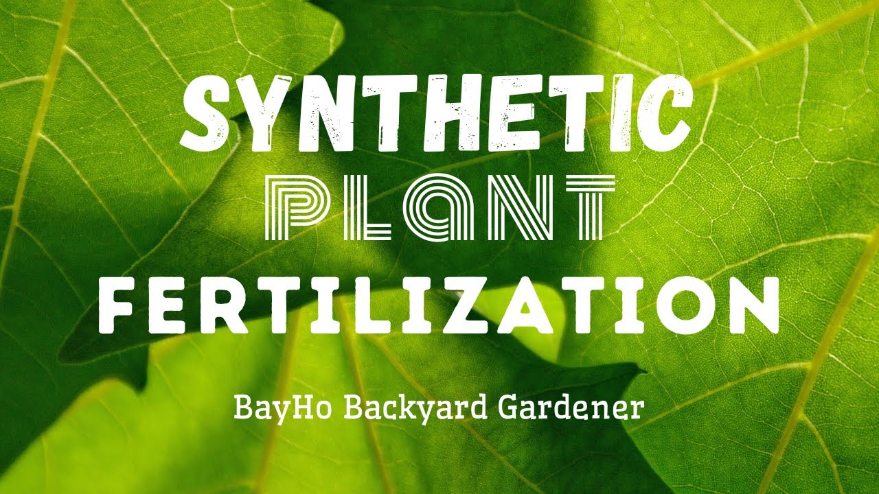 Synthetic Plant Fertilization 101: Best way to care for your plants ...