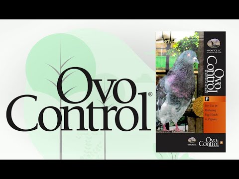 OvoControl - YouTube