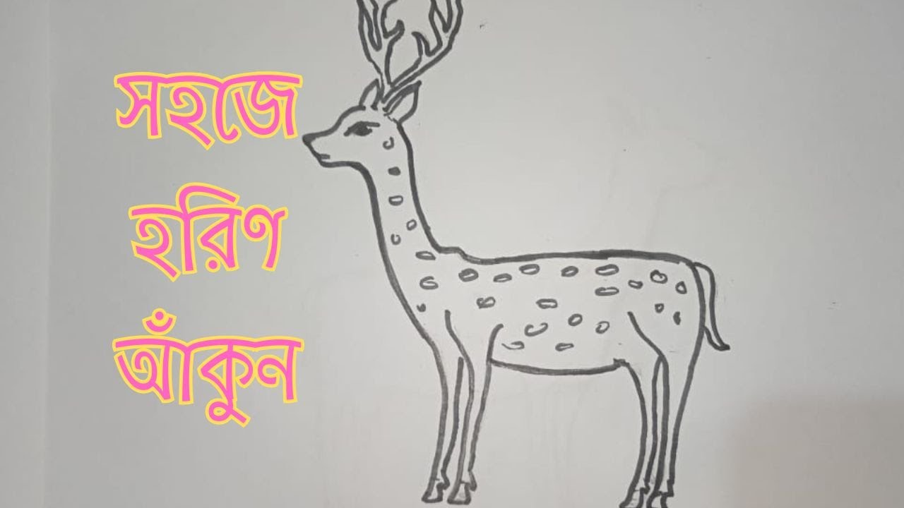 হরিণ আঁকানো পেন্সিল দিয়ে | Deer Drawing | How to draw a deer step by ...