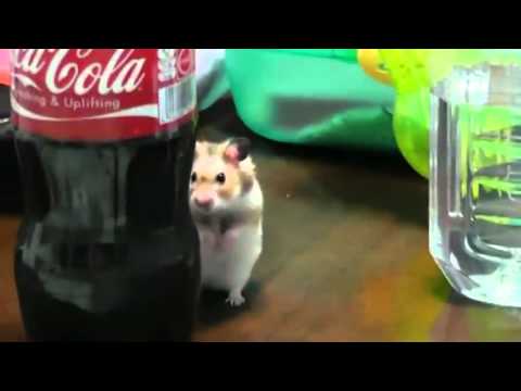 Dramatic Coke Addiction! - YouTube