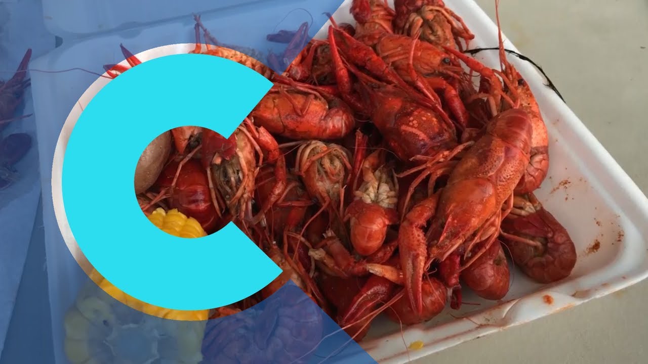 Houston's crawfish season begins with a festival - YouTube