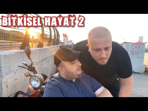 Bitkisel Hayat 2 - Skeç