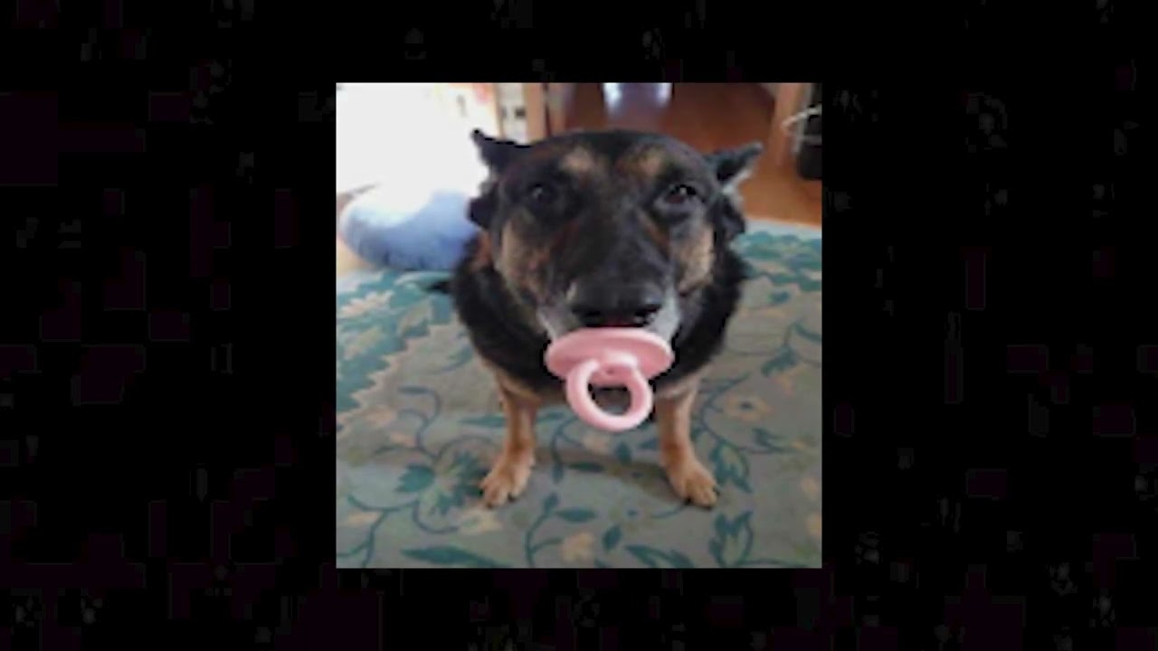 the best jman clurly intro rewal - YouTube