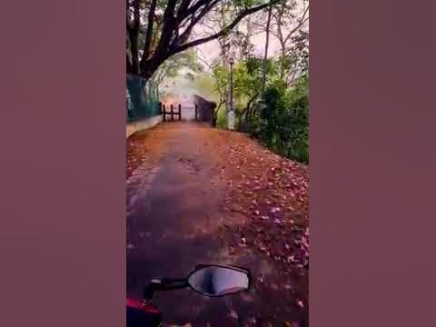 Akbar bridge ️ ️😍#university_of_peradeniya - YouTube