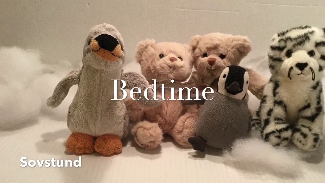 Animal Bedtime - YouTube