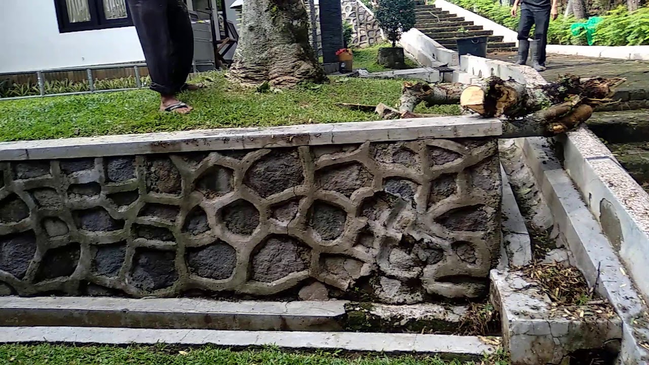 To tear down trees, skill sudra - YouTube