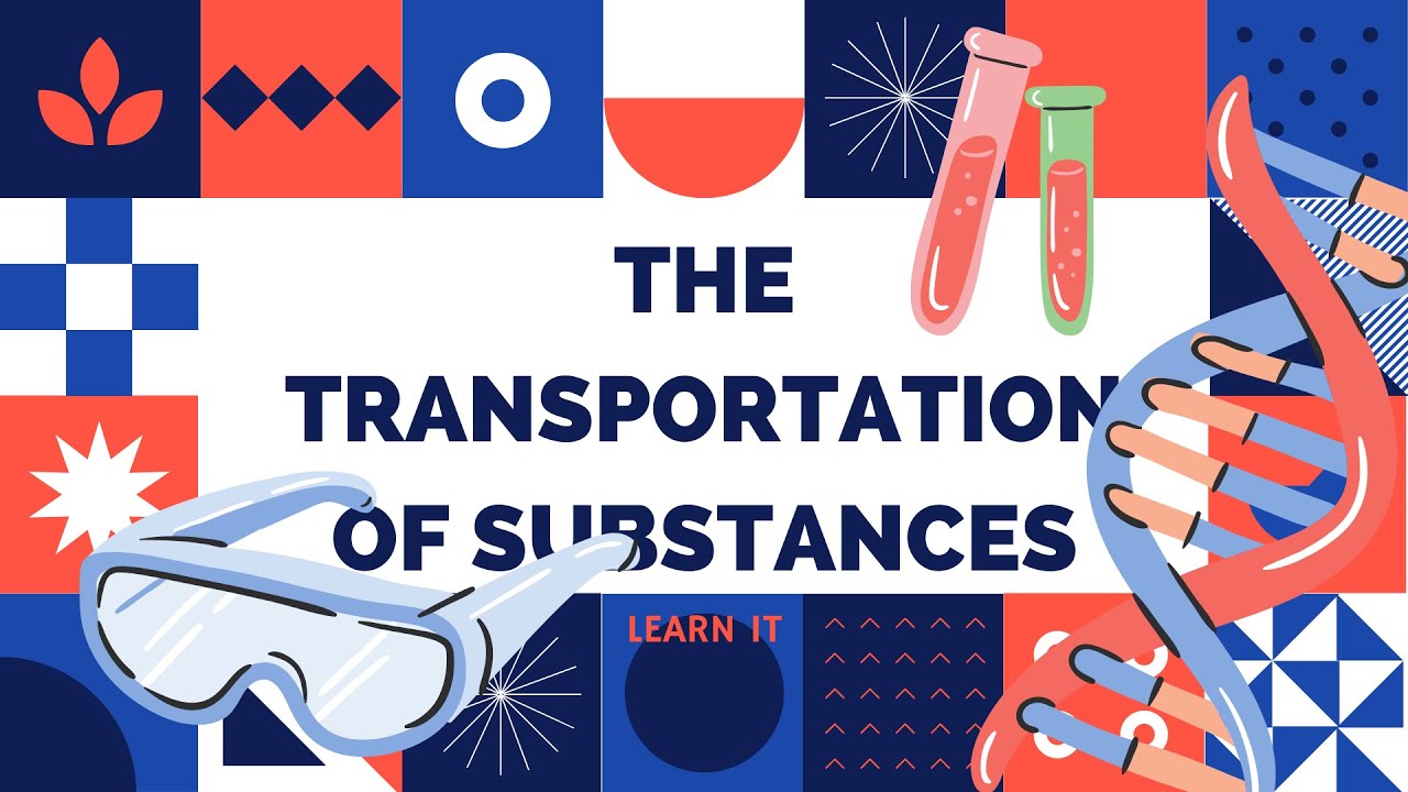 TRANSPORTATION OF SUBSTANCES || GRADE 7 || BIOLOGY || LEARN IT - YouTube