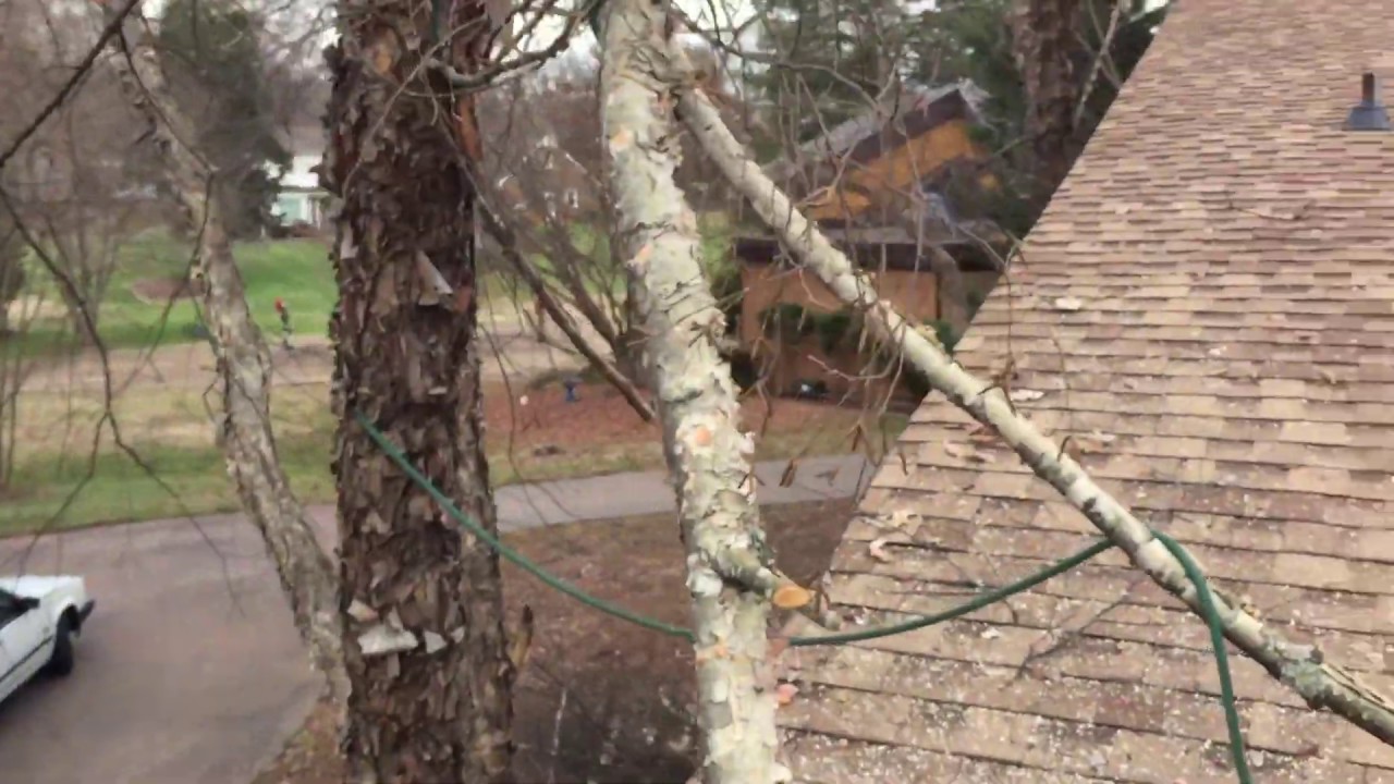 Solo Tree Work Before Winter Storm (2018) - YouTube