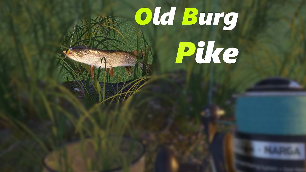Old Burg - PIKE SPOT SPIN | Russian Fishing 4 RF4 - YouTube