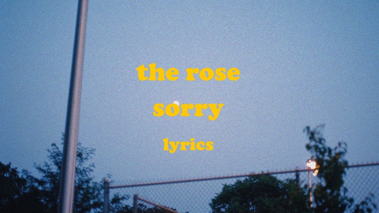 Sorry - The Rose (Lyrics) - YouTube