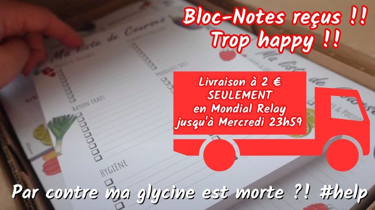[. VLOG .] Bloc-Notes reçus !! Trop happy !! Profitez des FDP MR à 2 ...