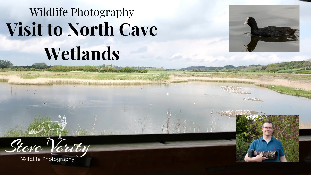 Visit to North Cave Wetlands - YouTube