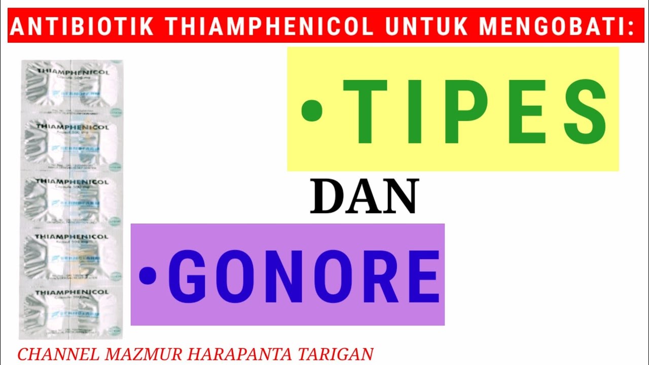 OBAT ANTIBIOTIK UNTUK MENGOBATI TIPES DAN PENYAKIT GONORE ...