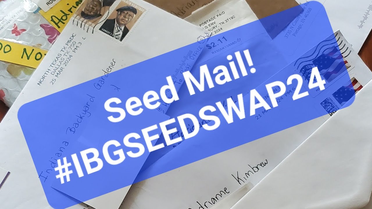 Seed Mail #IBGSeedSwap24 - YouTube