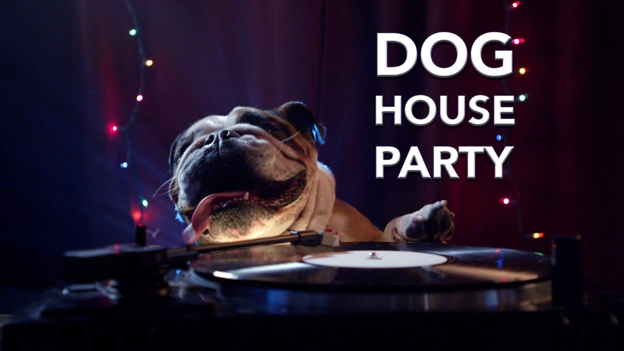 Dog House Party - YouTube