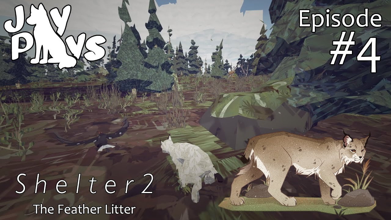 A Lakeside Autumn Dawn | Shelter 2: The Feather Litter #4 - YouTube