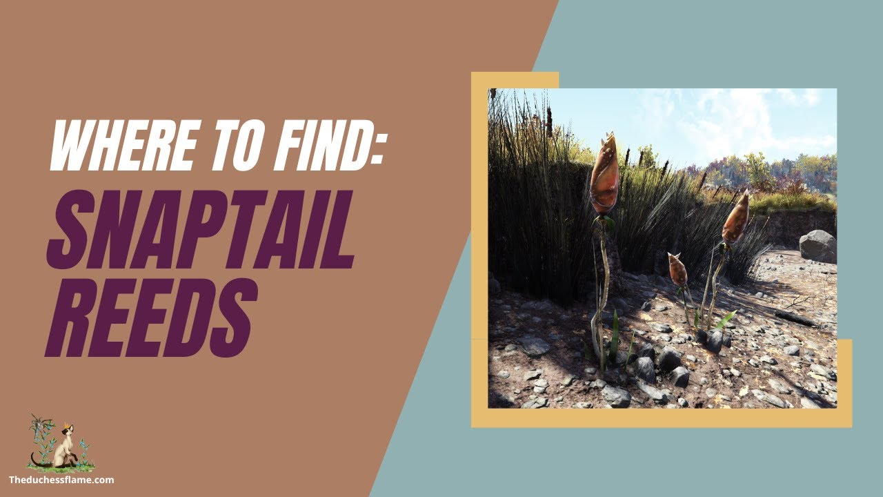 Where to find and how to farm for snaptail reeds in fallout 76 - YouTube
