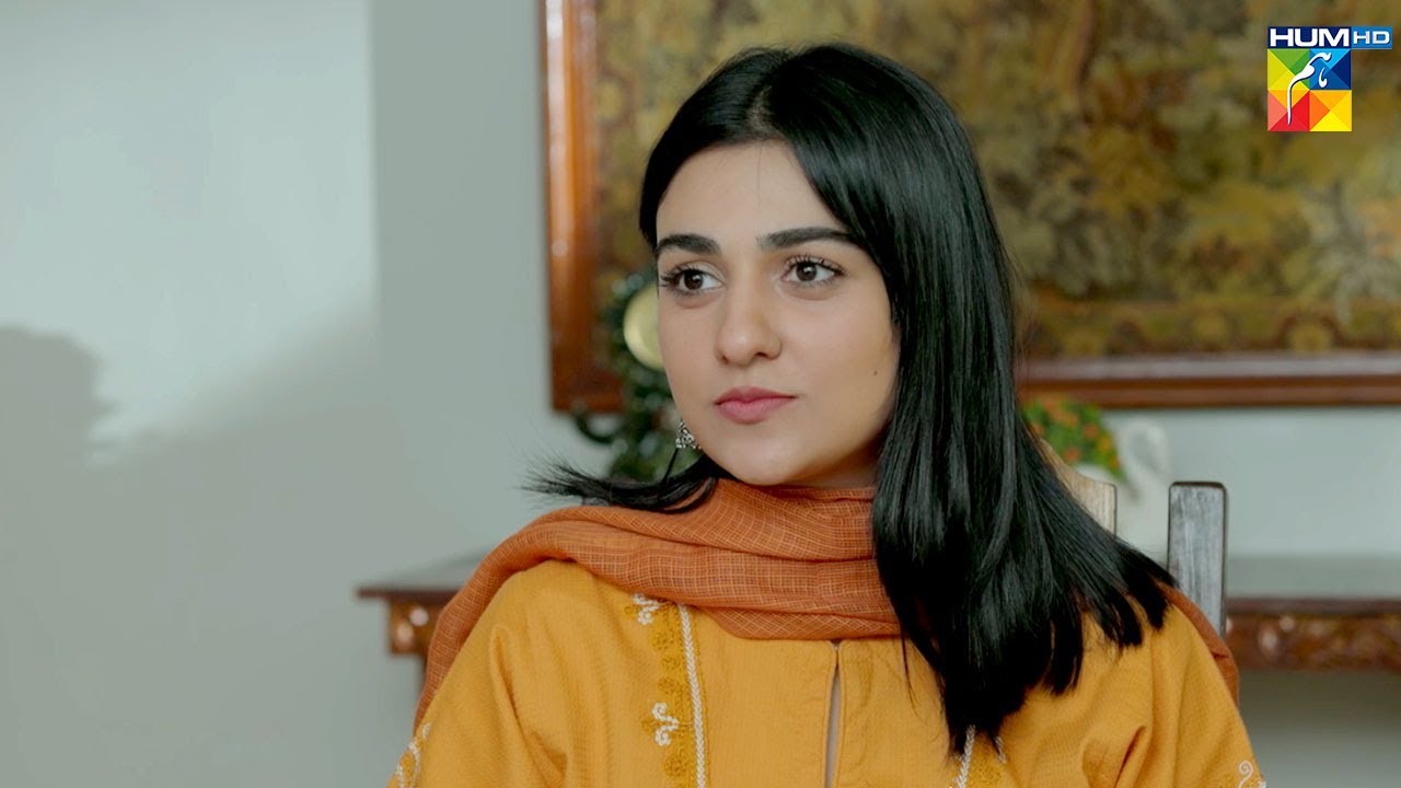 Anum Se Faraz Ke Dost Ki Pehli Mulaqat.....!! #sarahkhan #talhachahour ...