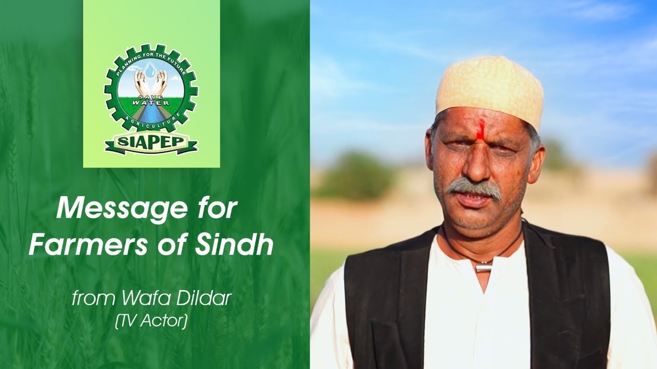 Celebrity Message for Farmers of Sindh by Wafa Dildar (Tv Actor) - YouTube