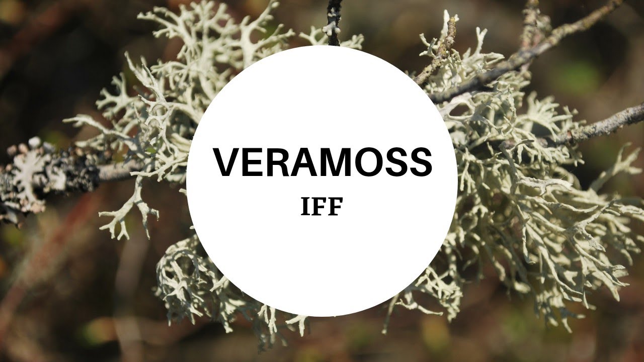 Veramoss by IFF (Oak Moss) - Aroma Chemical Reviews - YouTube