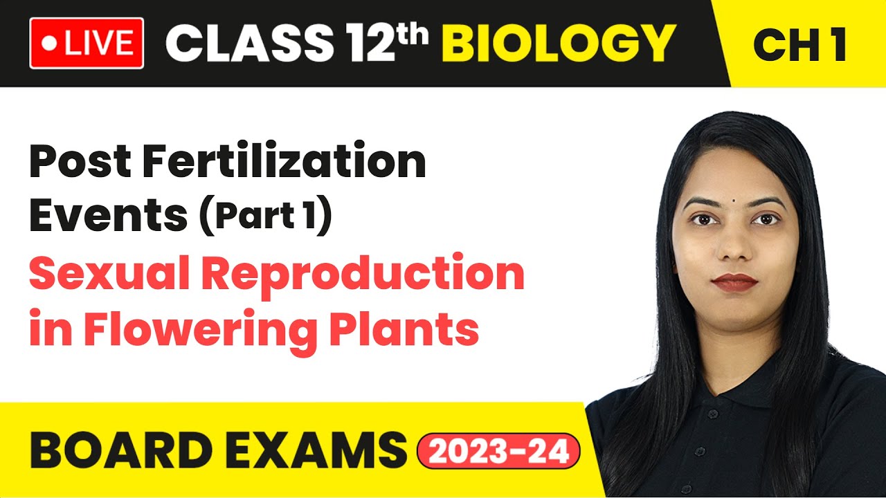 Post Fertilization Events (Part 1) | Class 12 Biology Chapter 1 | LIVE ...