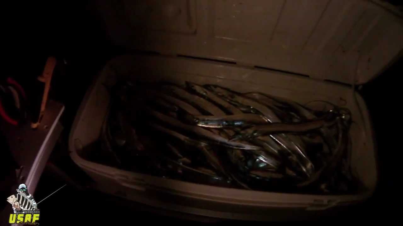 Ribbon Fishing at Pensacola, FL - YouTube