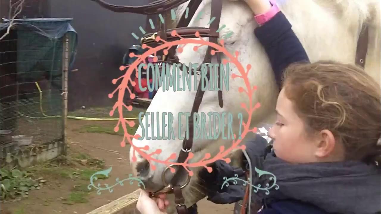 {TUTO} Comment seller et brider ? - YouTube