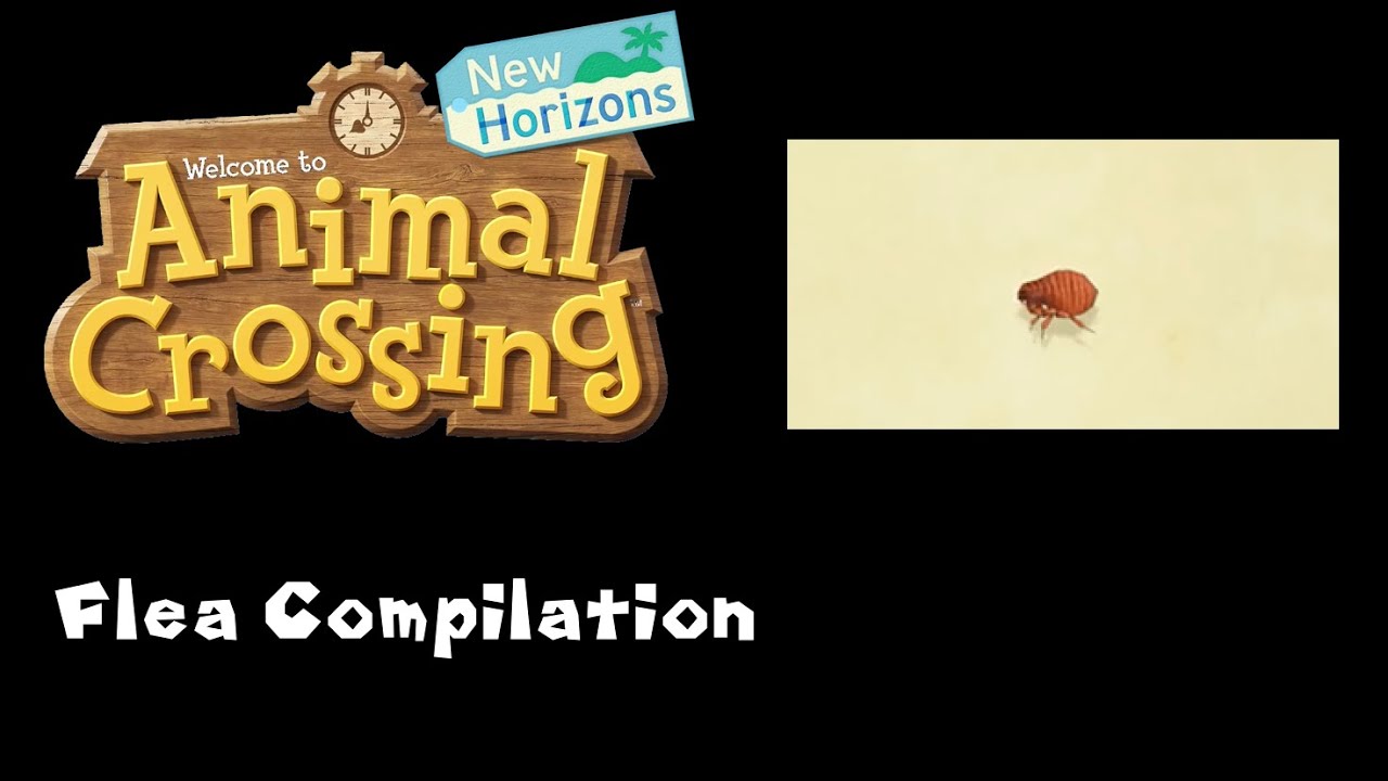 Animal Crossing New Horizons - Flea Compilation - YouTube