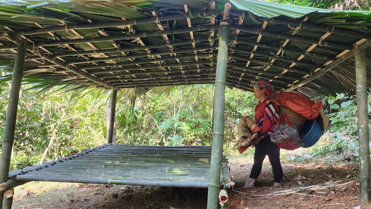 The young girl decided to build a bamboo hut in the forest as a shelter ...