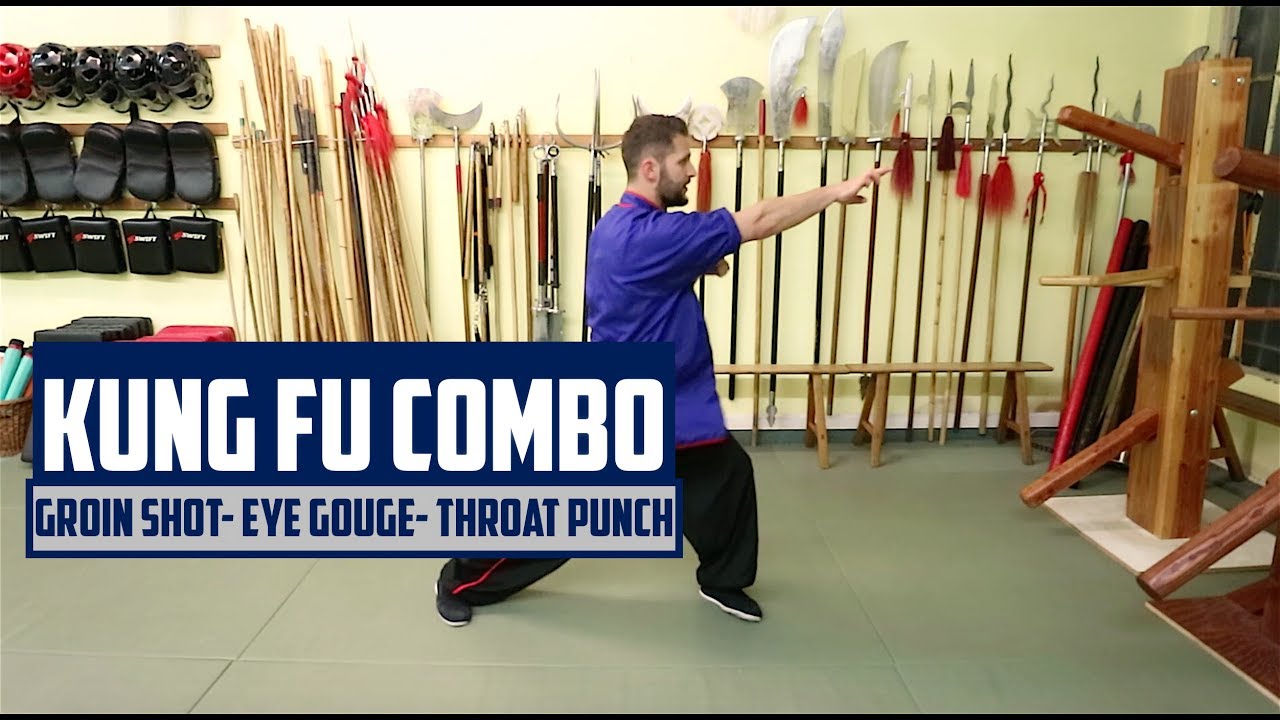Kung Fu Combo - Attacking the Groin - Eyes - Throat - YouTube