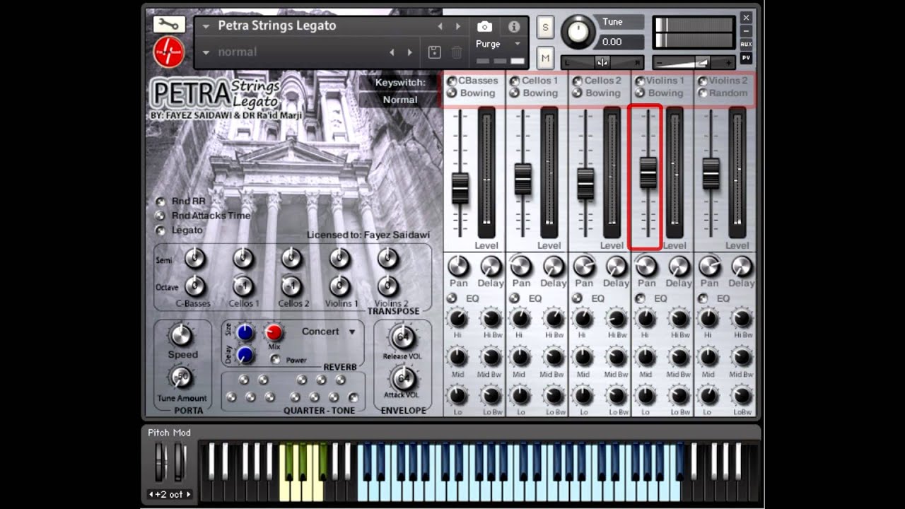 Petra Strings Legato Walkthrough - YouTube