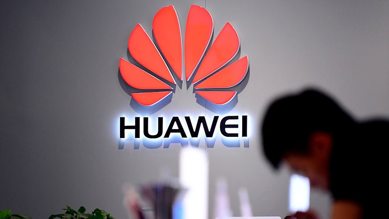 Ren: Law of the jungle not suitable for human society - YouTube