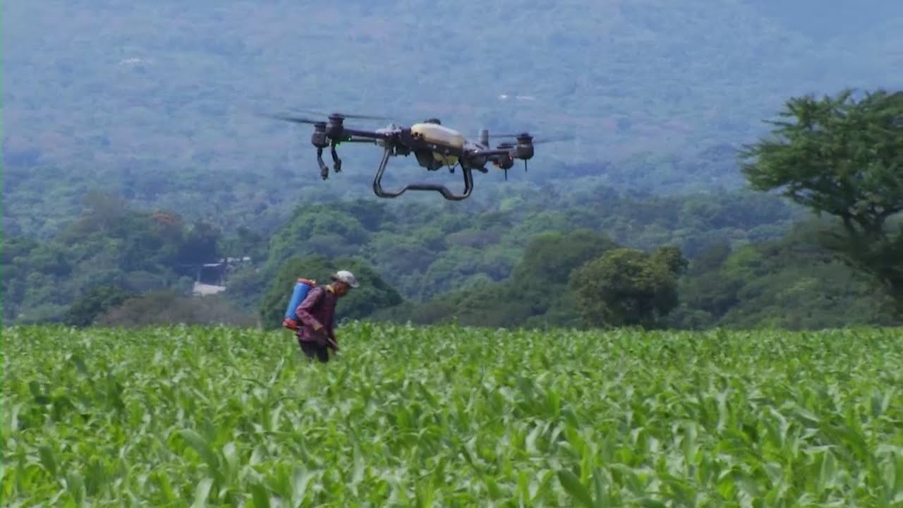 Hechos del Agro - Drones agrícolas - YouTube