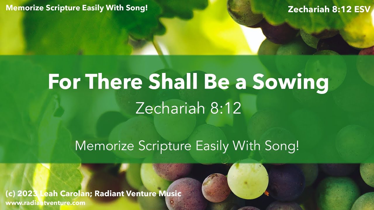 For There Shall Be A Sowing Zechariah 8 12 ESV Memorize Scripture