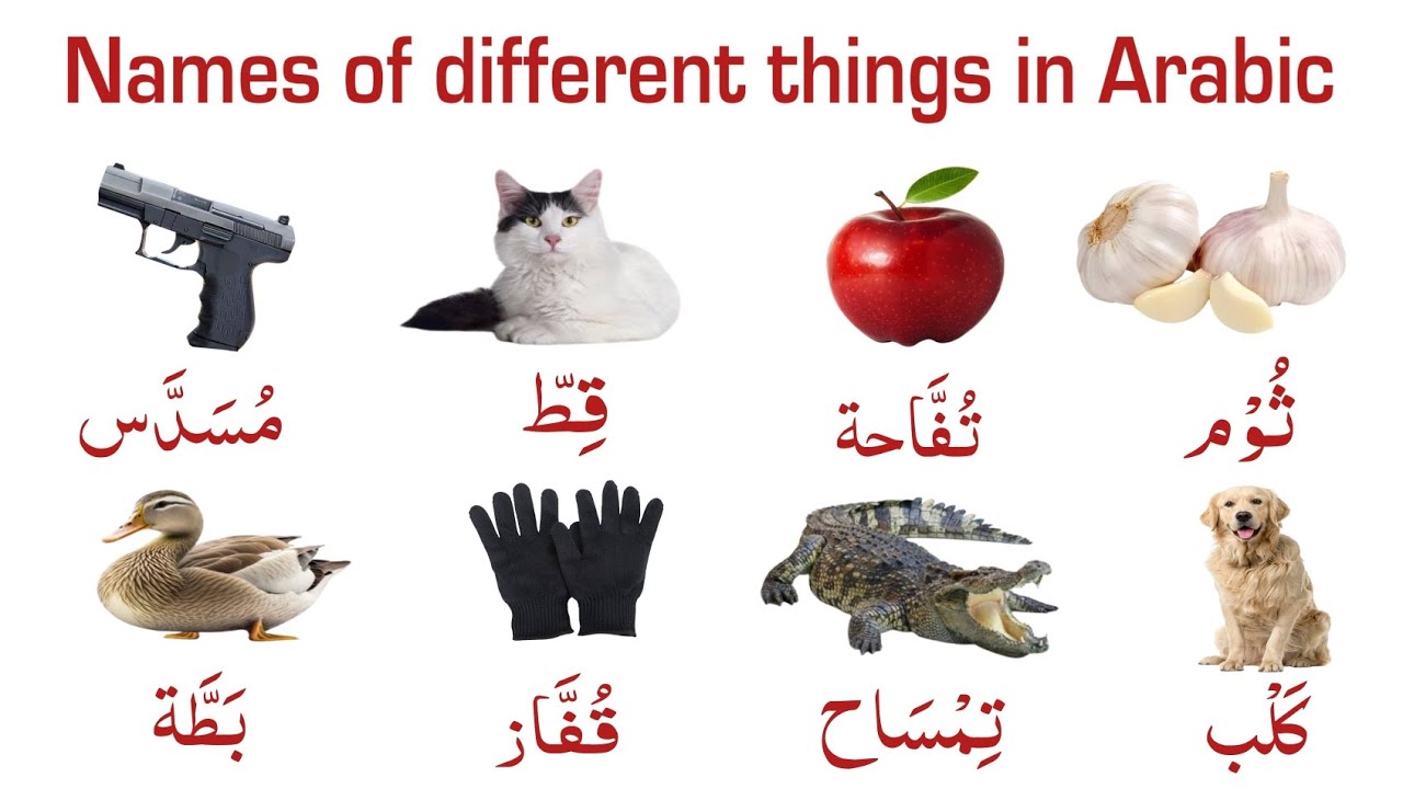 different things names in Arabic and in English | أسماء المفردات باللغة ...