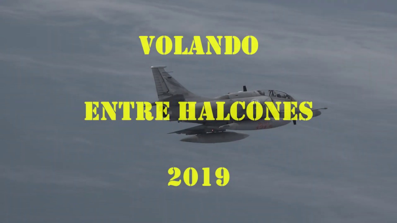 VOLANDO ENTRE HALCONES 2019 - YouTube
