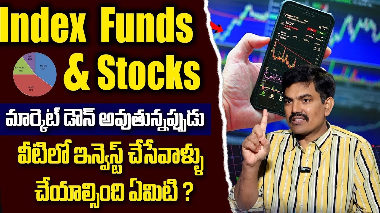 Index Funds vs Stocks: Pros, Cons and Differences | Stock Market for ...