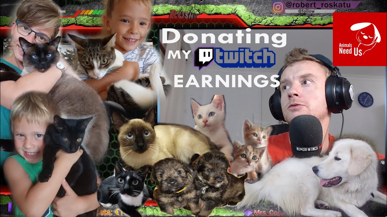 Small Twitch streamer donates ALL earnings to animal shelter - YouTube