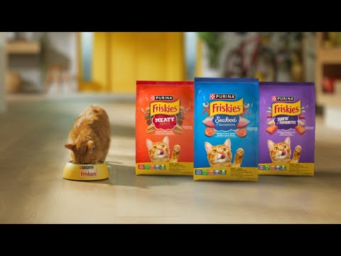 Make Every Mealtime a Flavorful Adventure with Friskies - YouTube