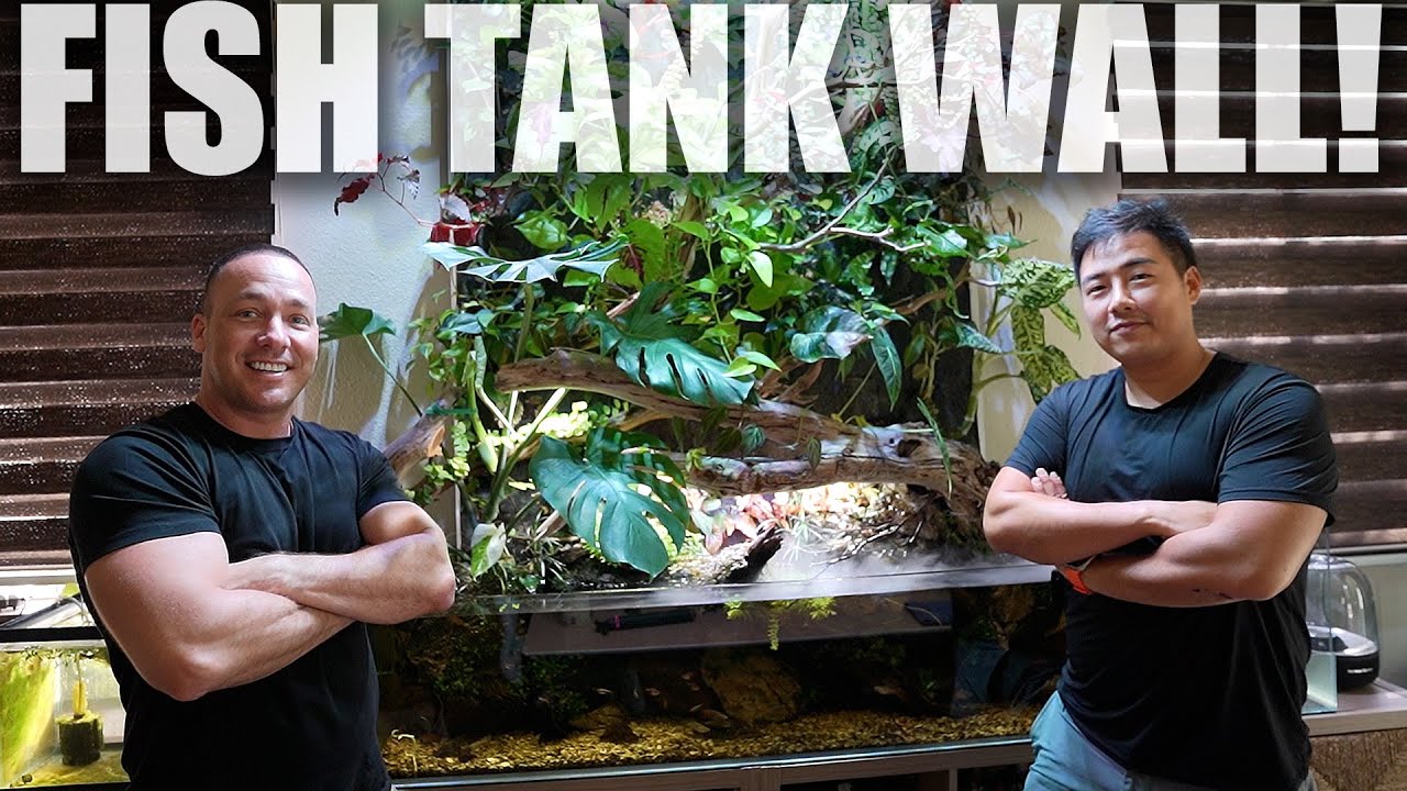 HOW TO build the ultimate paludarium - A Vivarium WITH FISH TANK ...