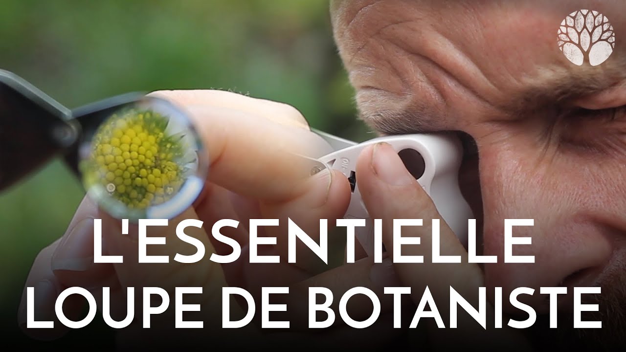 La loupe : essentielle amie du botaniste ! - YouTube